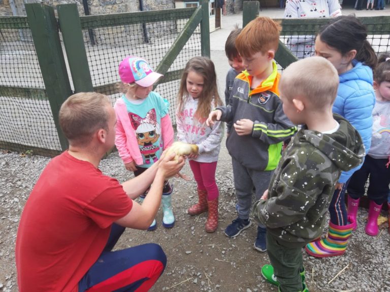 School tour to Croom – Juniors, Seniors and First Class | Nicker NS